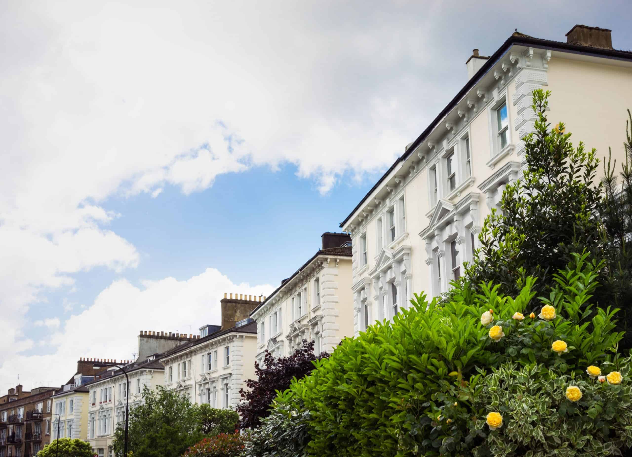 Belsize Park - Harding Green