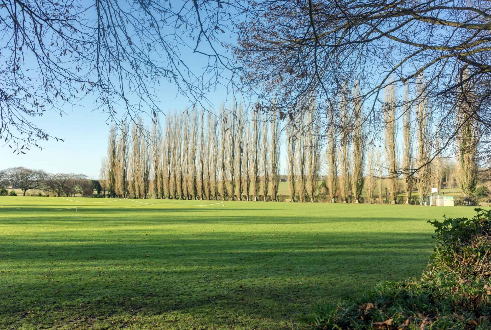 Hook - Harding Green