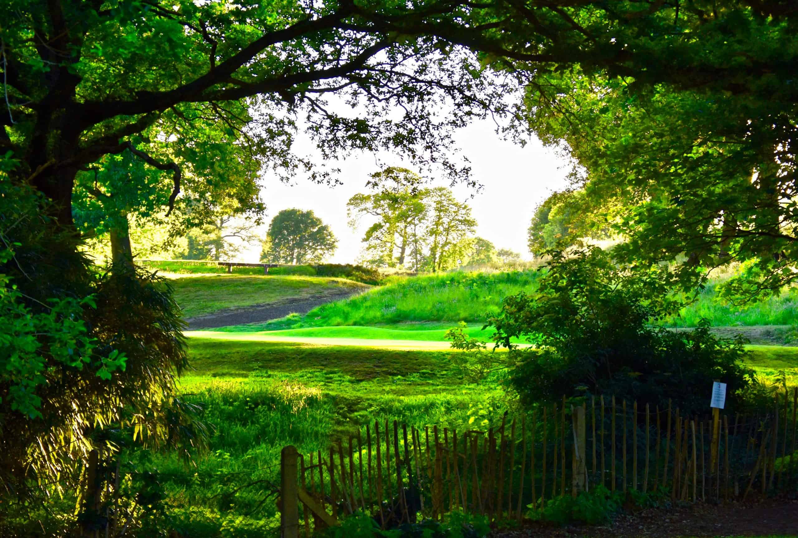 Southfields - Harding Green