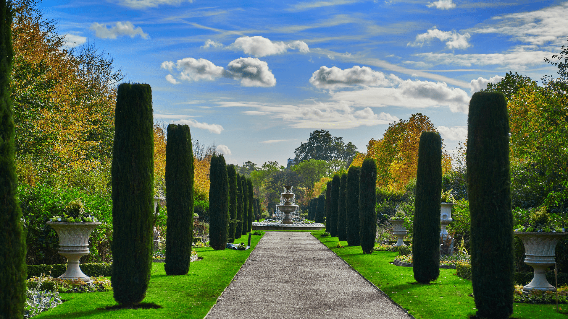 Regent's Park - Harding Green